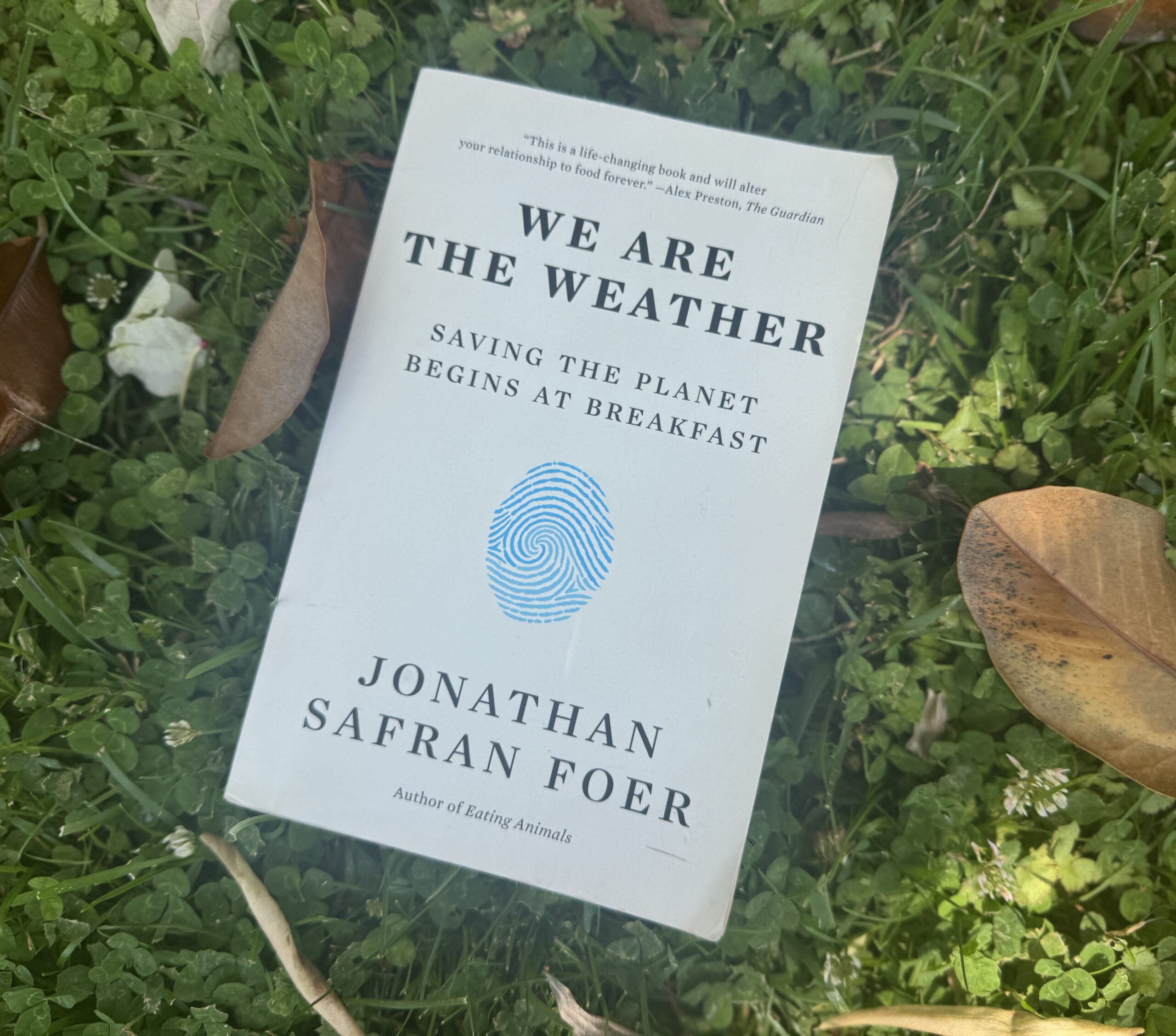 The Simplest Change You Can Make for the Planet - Pigs Are Smart ...